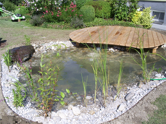 Teich mit Steg « ptgb.at